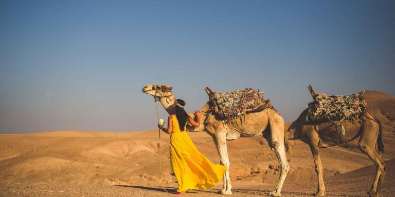 Marrakech Camel Rides: The Ultimate 2025 Guide to an Unforgettable ...